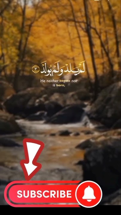 قُلۡ ہُوَ اللّٰہُ اَحَدٌ اَللّٰہُ الصَّمَدُ لَمۡ یَلِدۡ ۬ ۙ وَ لَمۡ