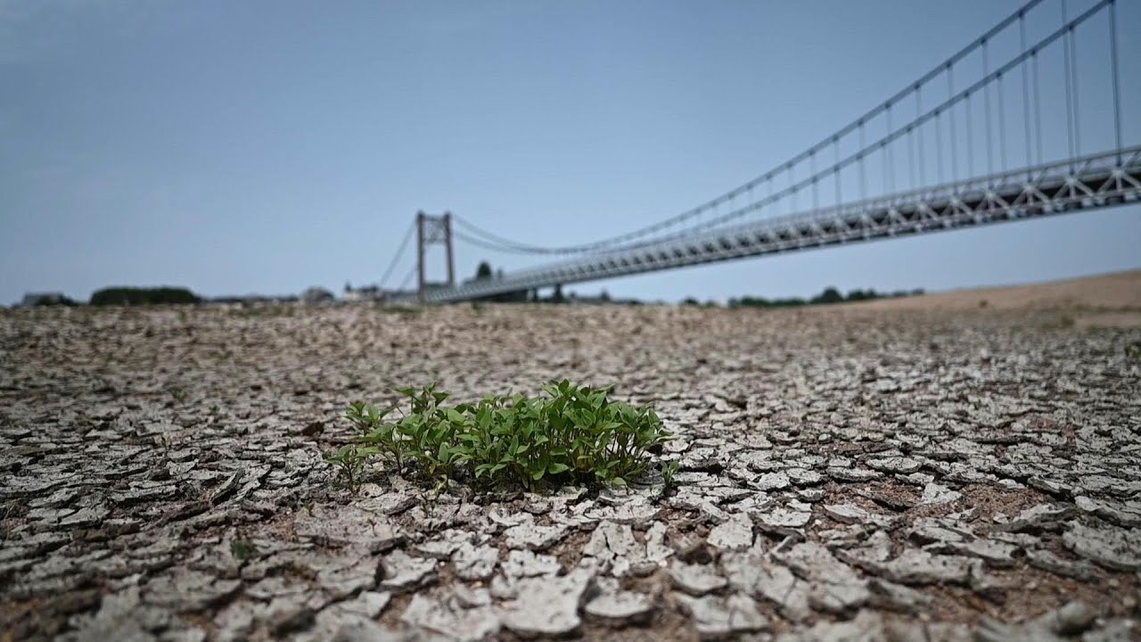 Ungewöhnliche Hitzewelle in Europa | AFP - YouTube