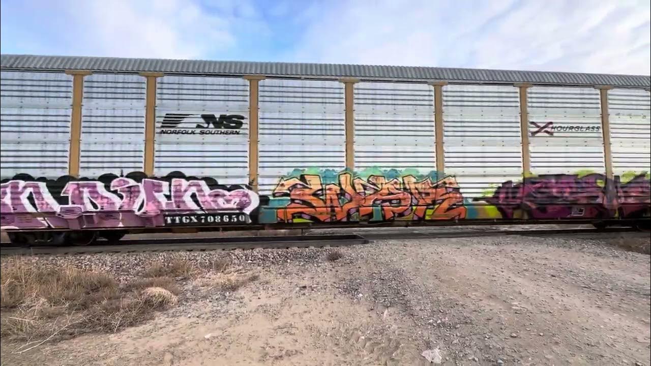 BNSF #7410 Lead’s The V-ALTDOC4-03A Through Brush SUB 1/5/2025. - YouTube