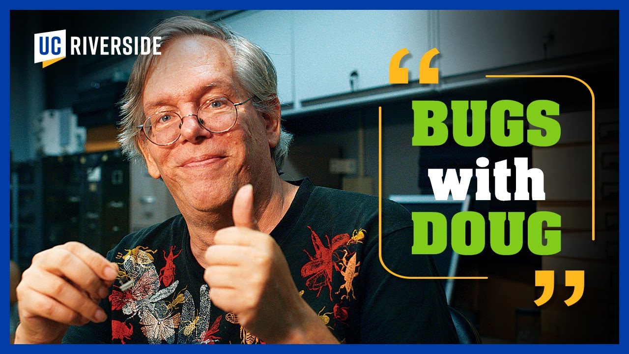 "Bugs with Doug" - Series Trailer - YouTube
