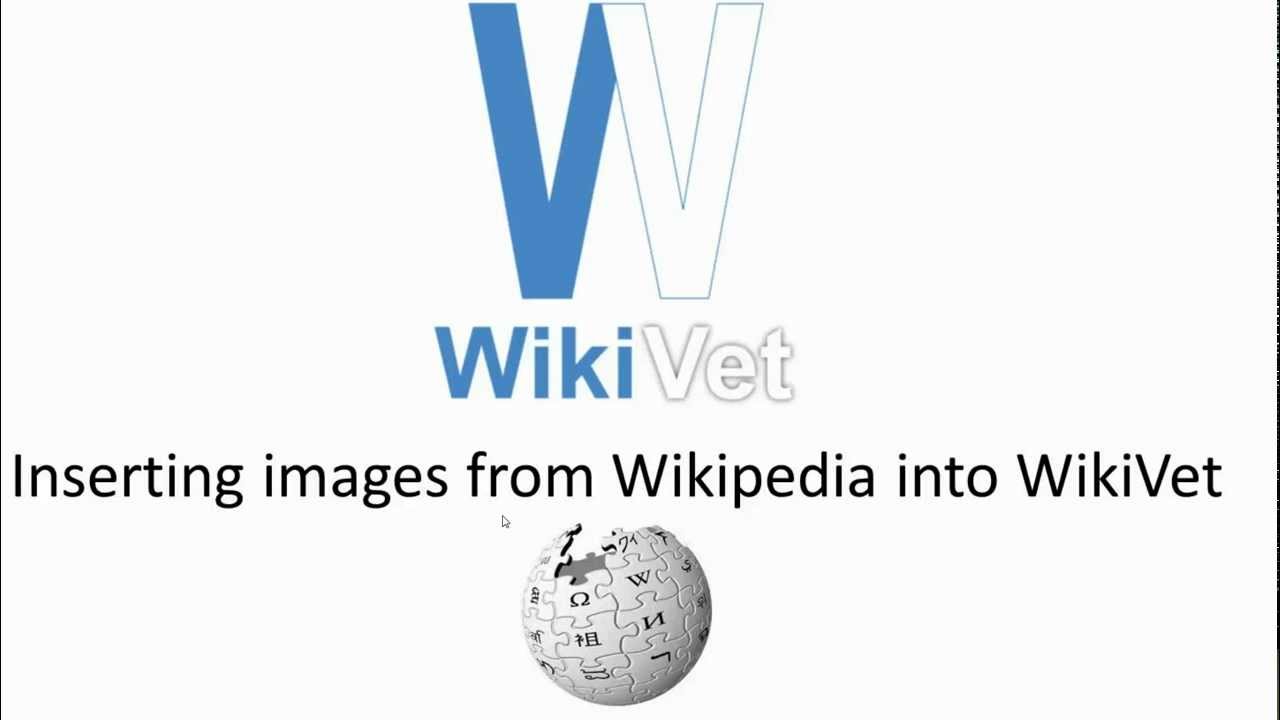 How To Insert Copyright free Images From Wikipedia Into WikiVet YouTube how-to-insert-copyright-free-images-from-wikipedia-into-wikivet-youtube