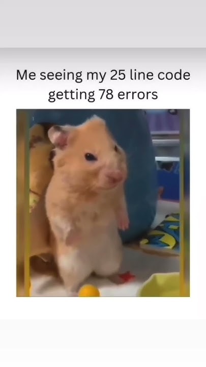 Code Meme Web Shortvideo Programming Coding Css Javascript Webdevelopment Memes Meme 