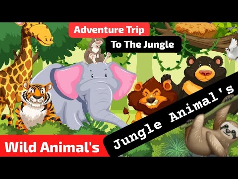 Jungle Animals | Wild Animals |Meet the Jungle Animals!# ...