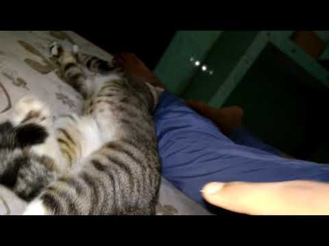 KETIKA BIJI PELER DI PEGANG!!1!1!1!