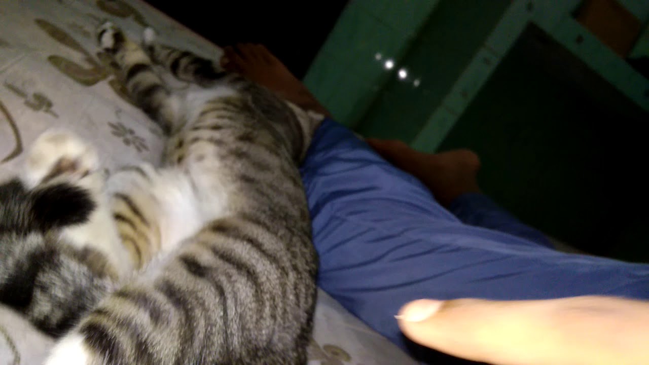 KETIKA BIJI PELER DI PEGANG!!1!1!1! - YouTube