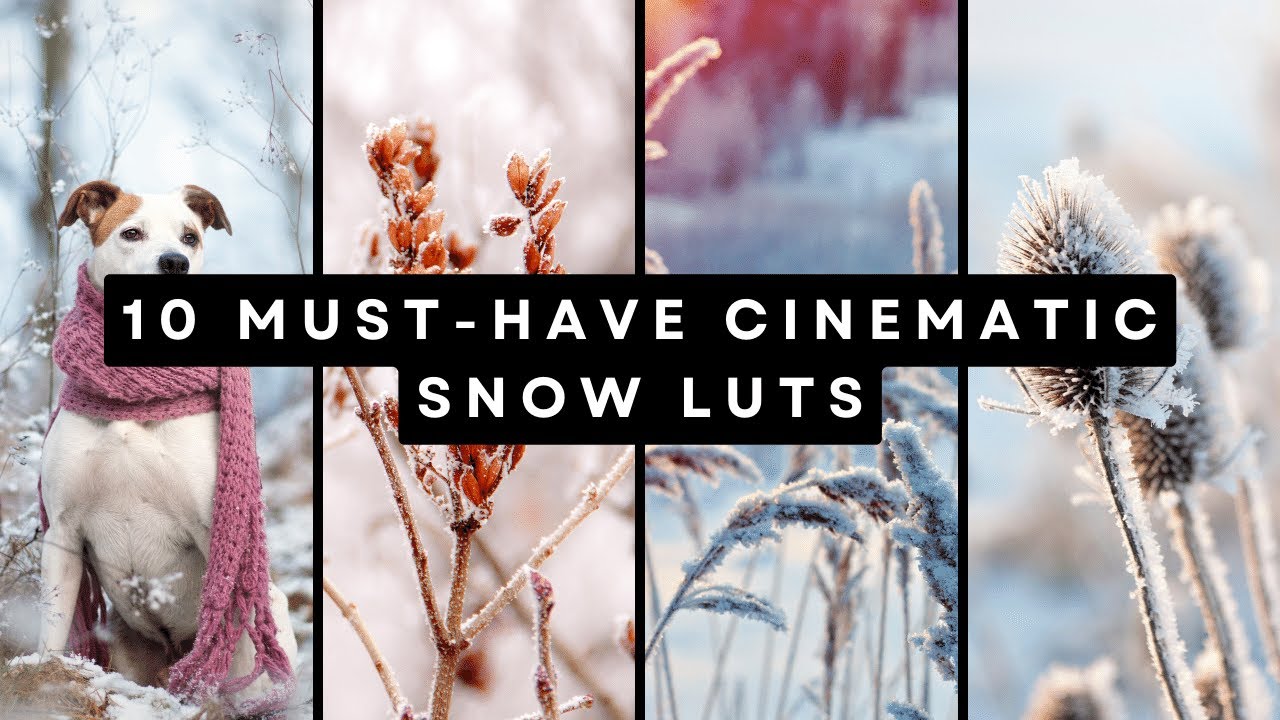 Winter Wonderland: Top 10 LUTs for Cinematic Snowy Scenes - YouTube