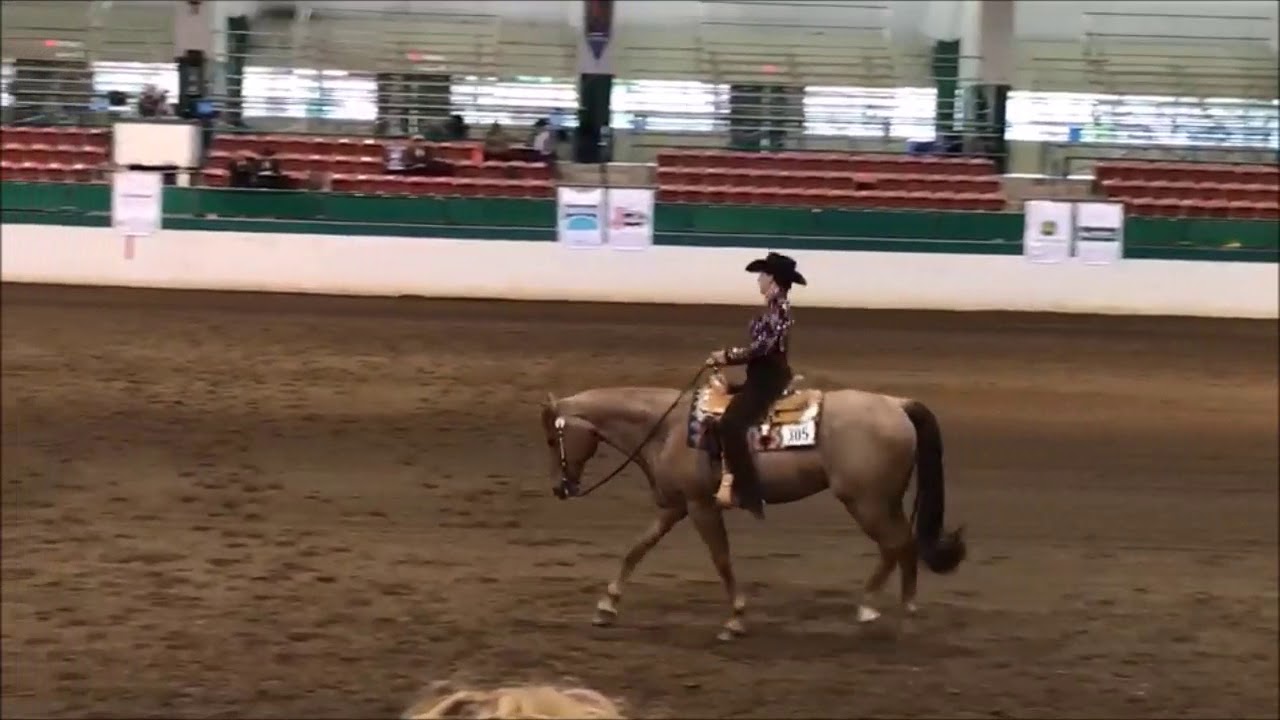 2017 AQHA Level 1 East Championship YouTube 2017-aqha-level-1-east-championship-youtube
