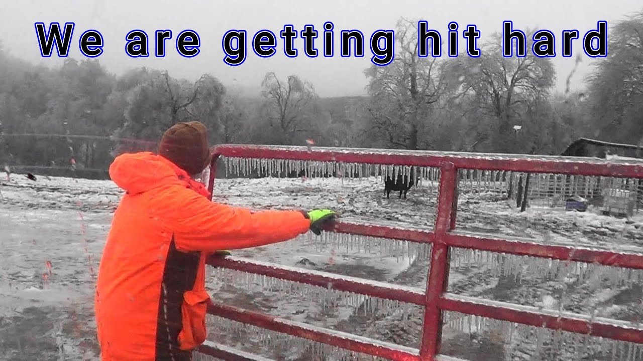 We are getting hit hard - YouTube