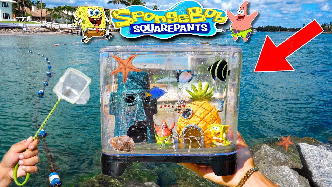Catching SEA CREATURES For SPONGEBOB AQUARIUM!! - YouTube