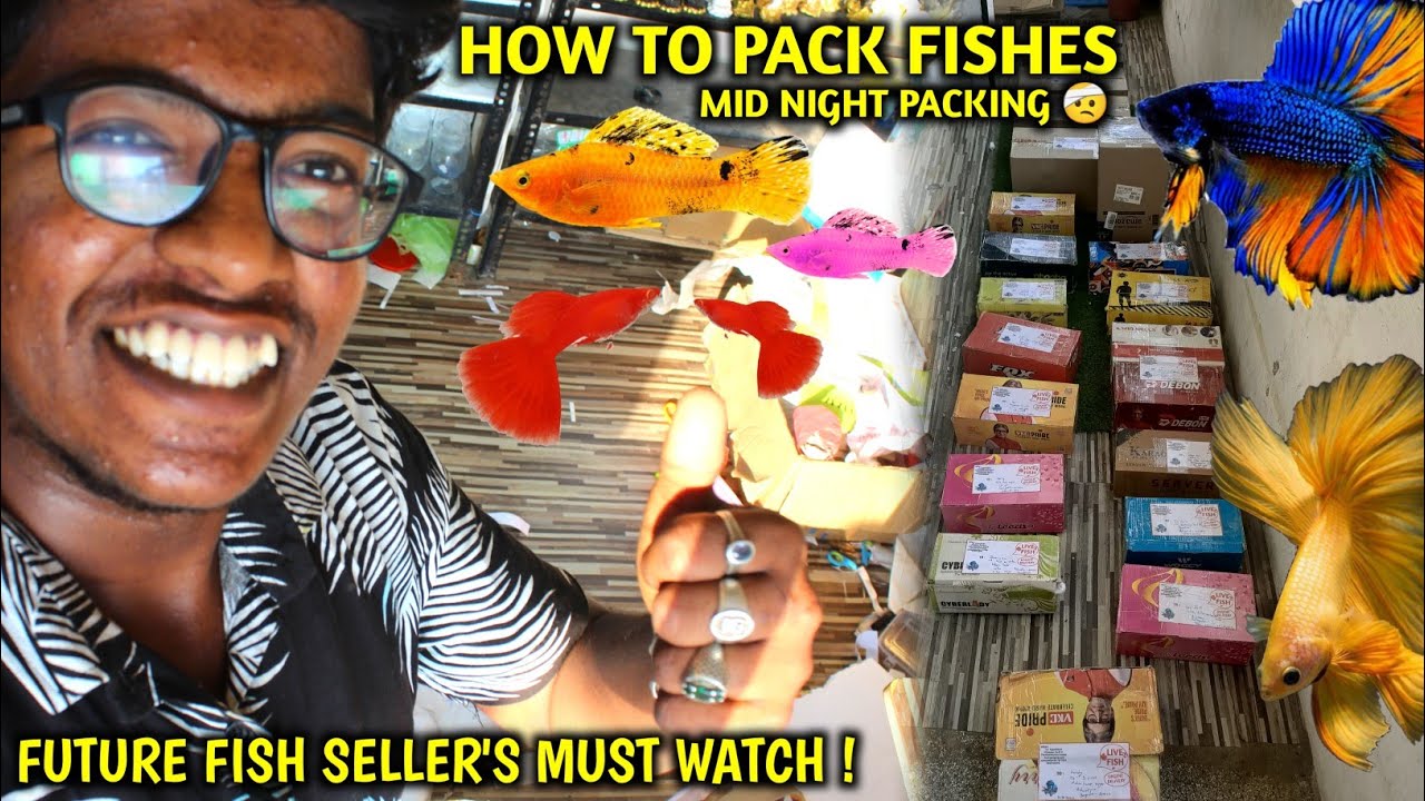 Fishes epidi packing pannenum nu theriyanumaah enthe video ungeluku ...