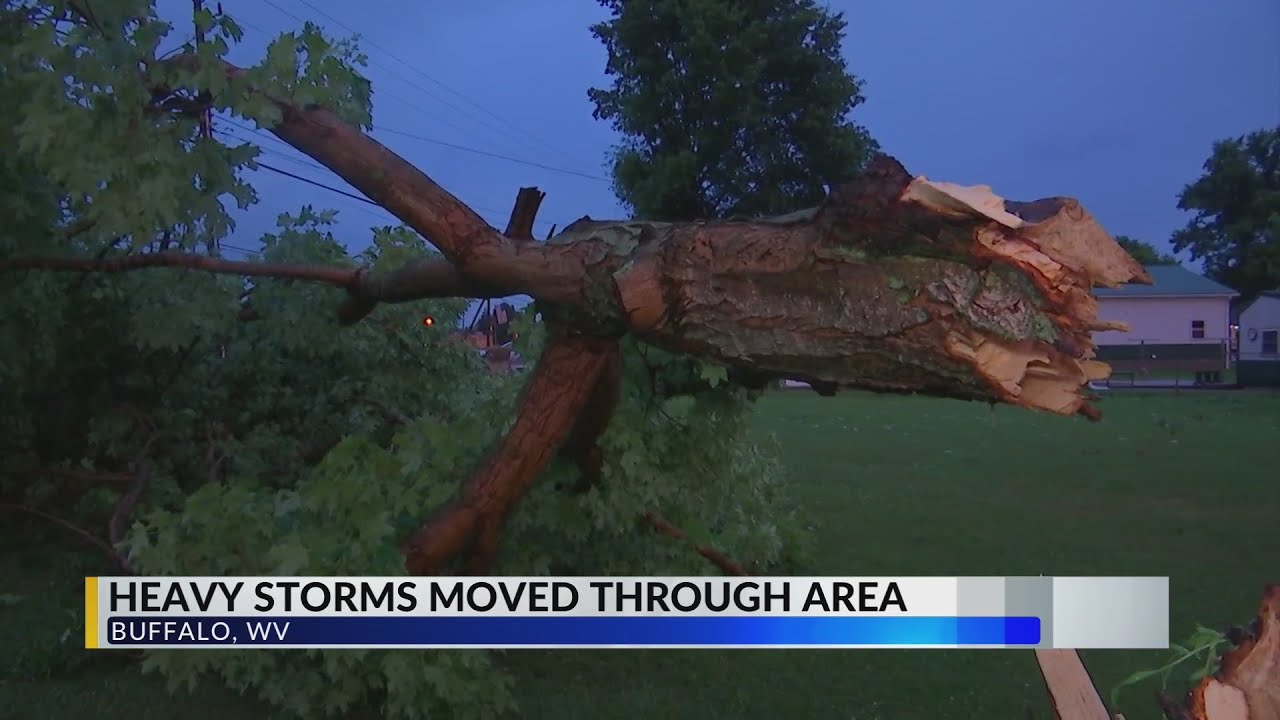 Heavy storms knock down trees, damage houses and cars - YouTube