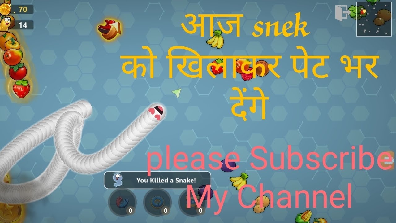 #aaj ham snek ko🪱🪱🪱 पेट भर भोजन कराएंगे 🪱🪱 - YouTube