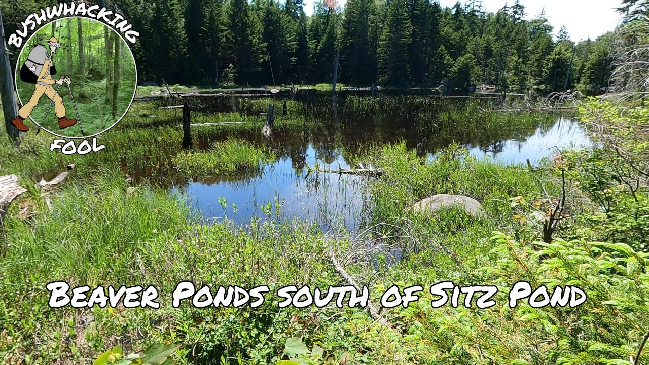 Couple Ponds South of Sitz Pond | Five Ponds Wilderness - YouTube