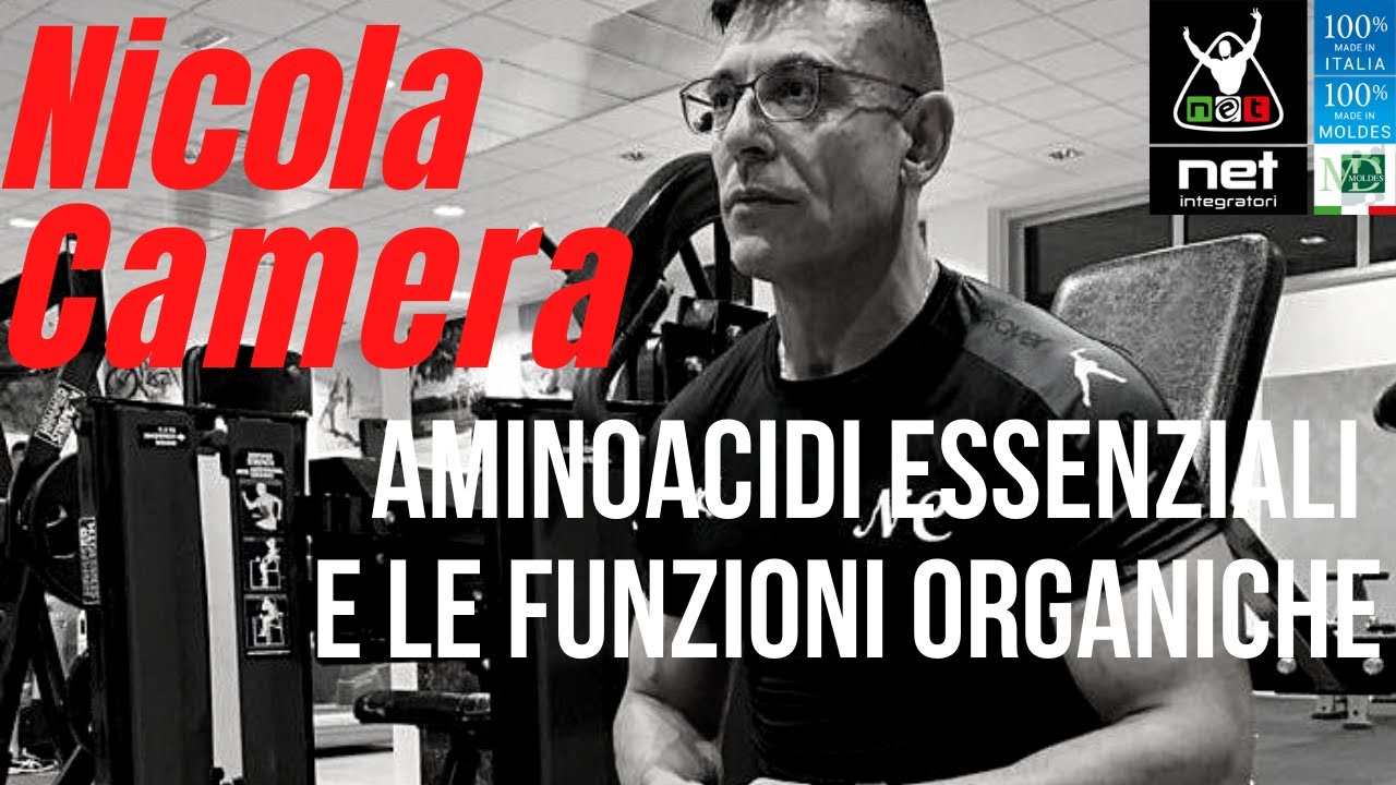 NICOLA CAMERA: Aminoacidi essenziali e le importanti funzioni organiche ...