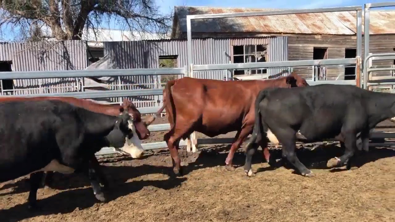 ABARRAK A+ 2 - YouTube