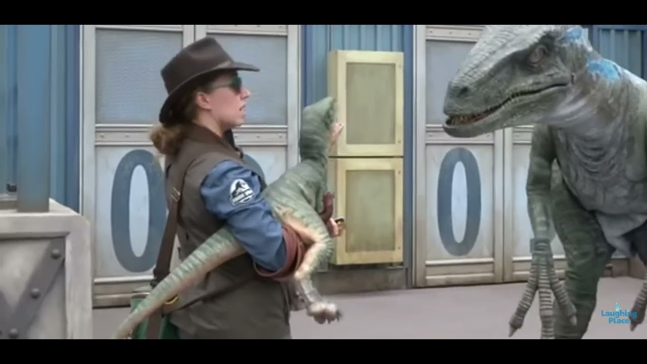 blue and baby tango in raptor exhibit jurassic world - YouTube