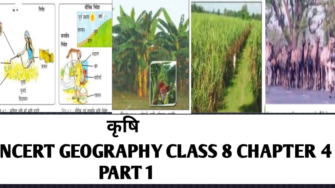कृषि (agriculture) NCERT GEOGRAPHY CLASS 8|CHAPTER 4|PART 1| for ctet ...