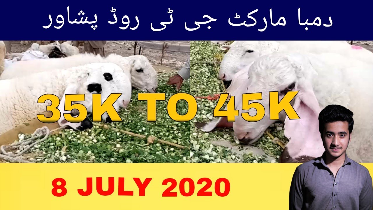 dumba mandi opposite kala mandi G.T road 8-july-2020 latest updates ...