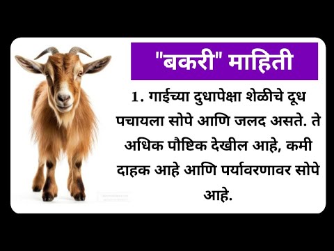 बकरी वर निबंध || essay on my favourite animal goat in Marathi || bakari ...