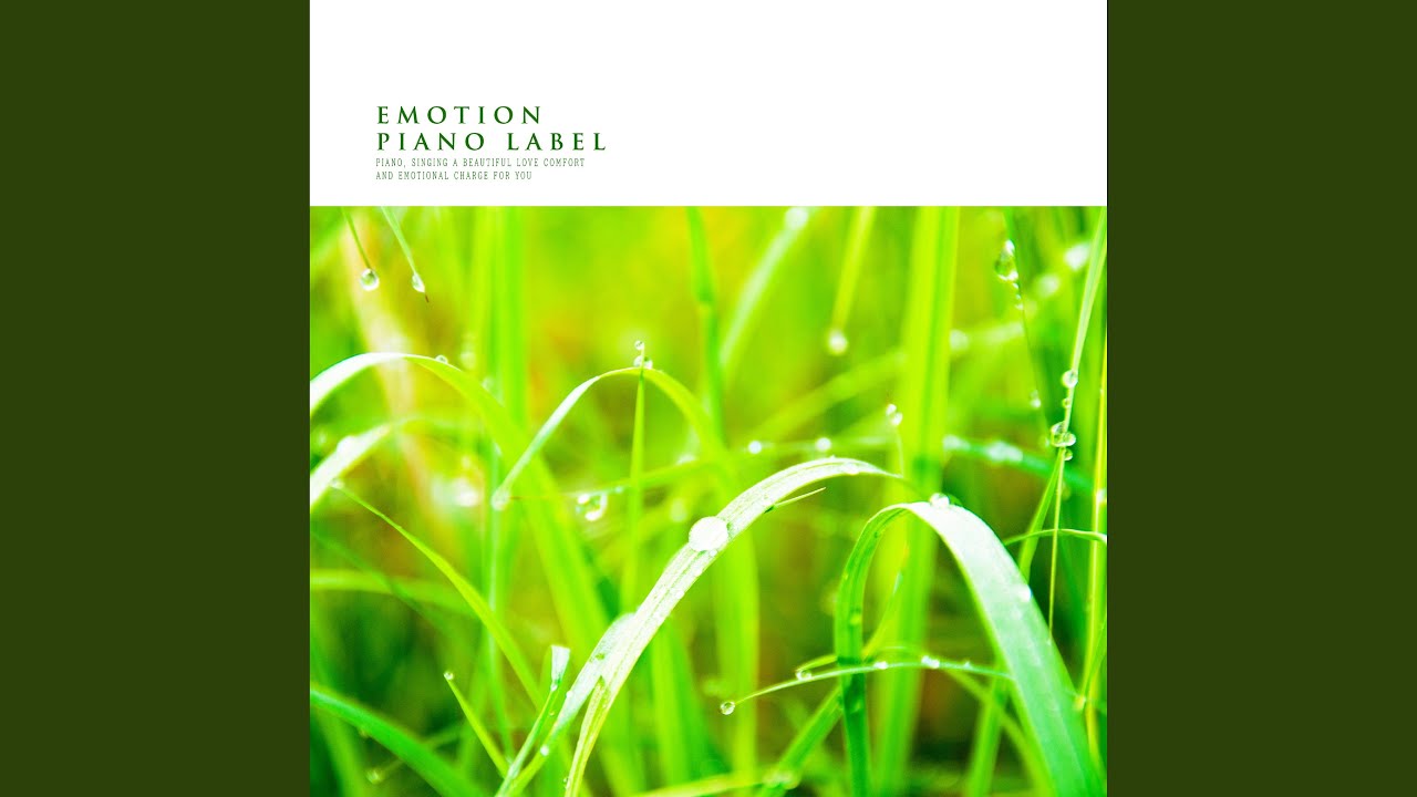 Springtime Memories (Nature Ver.) - YouTube