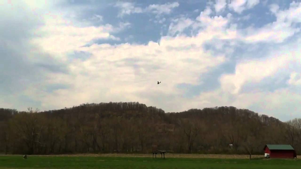 Agri Duck makes second flight with rough landing - YouTube