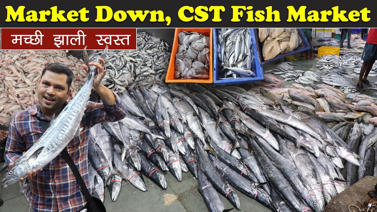 Starting Rs.40 | मच्छी झाली स्वस्त | Market Down | Wholesale fish ...