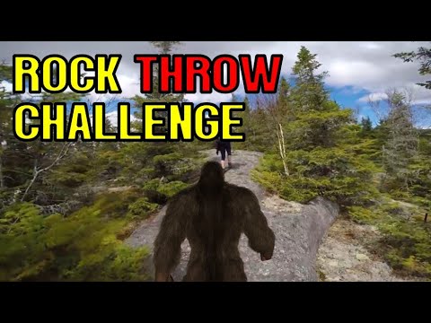 Woman has rock throwing contest with Bigfoot, turns into big mistake ...