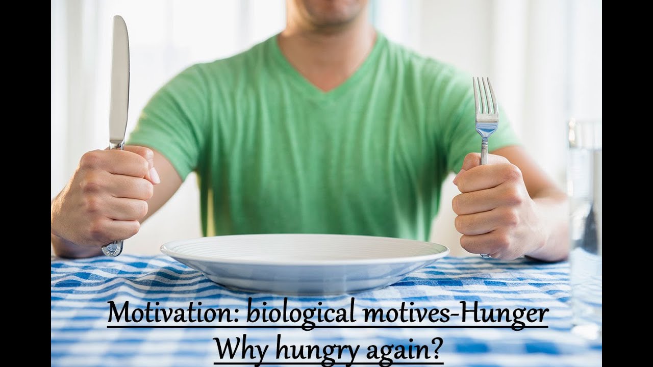 Lecture-4 Motivation: biological motives - hunger - YouTube