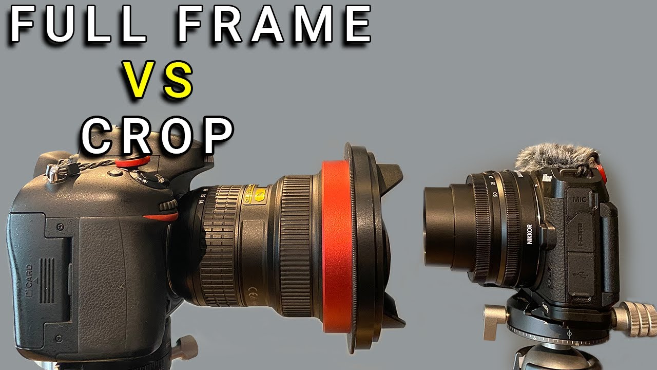 Full Frame vs Crop Sensor - Can You Tell the Difference | Rainbow ...