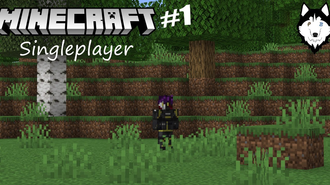 Let's See if I can actually play singleplayer || Minecraft Singleplayer ...