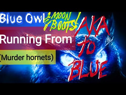 Aka to Blue - Ready Player Two! Running with Moon Boots on , featuring ...