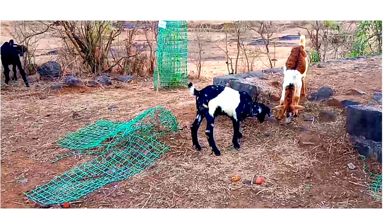 Ghosale village Roha Raigad - YouTube