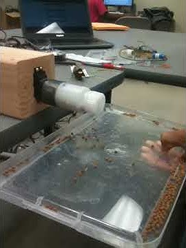 Autonomous food dispenser for an Aquaponic System-- utilizing Arduino ...