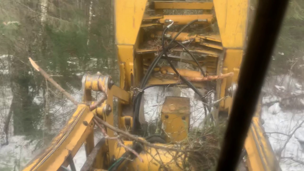 MN Logging Feb. 2021 - YouTube