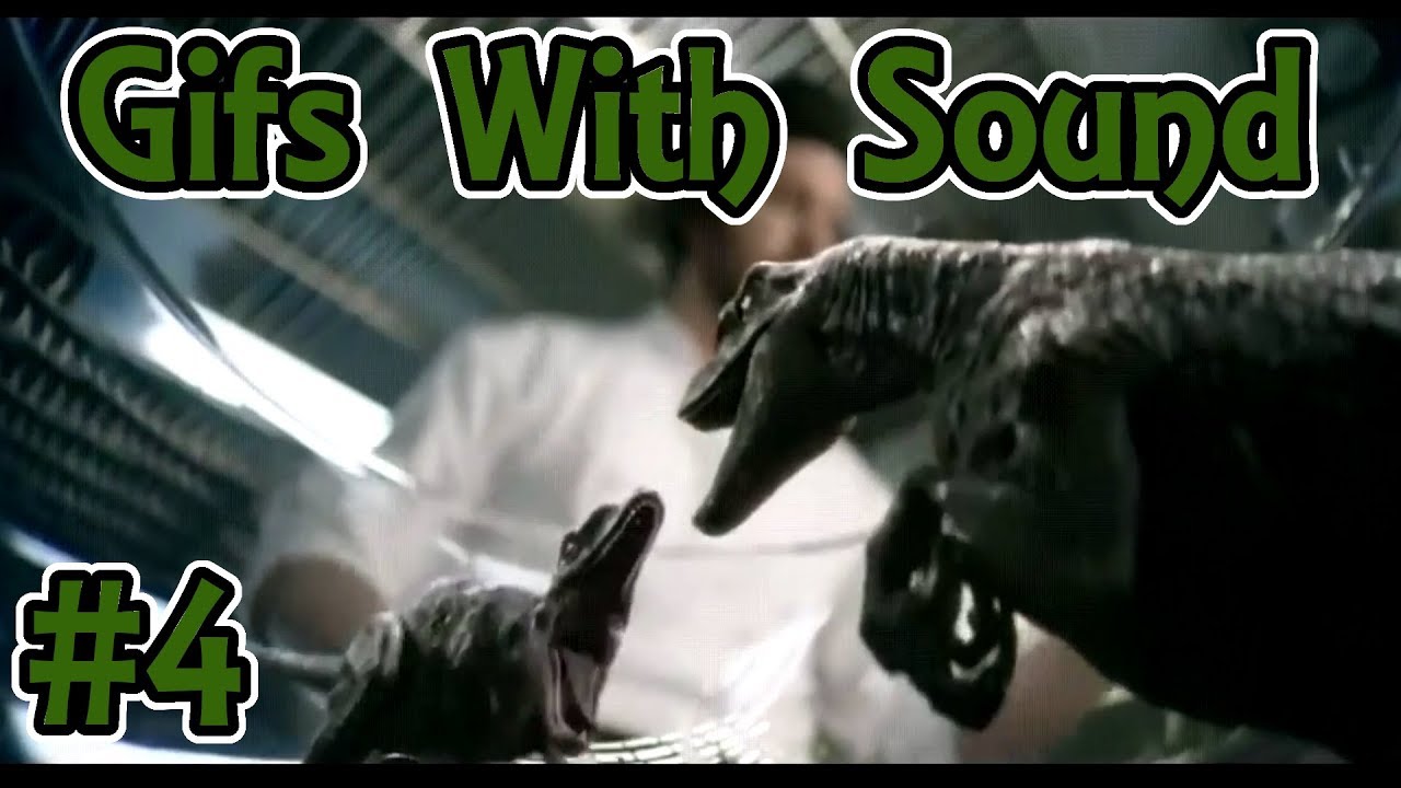 Gifs With Sound Compilation #4 | Mix Select - YouTube