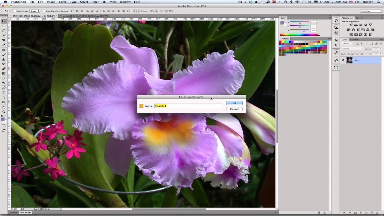 07 Photoshop: Color Picker, Color Libraries, Swatches, Preset Manager ...