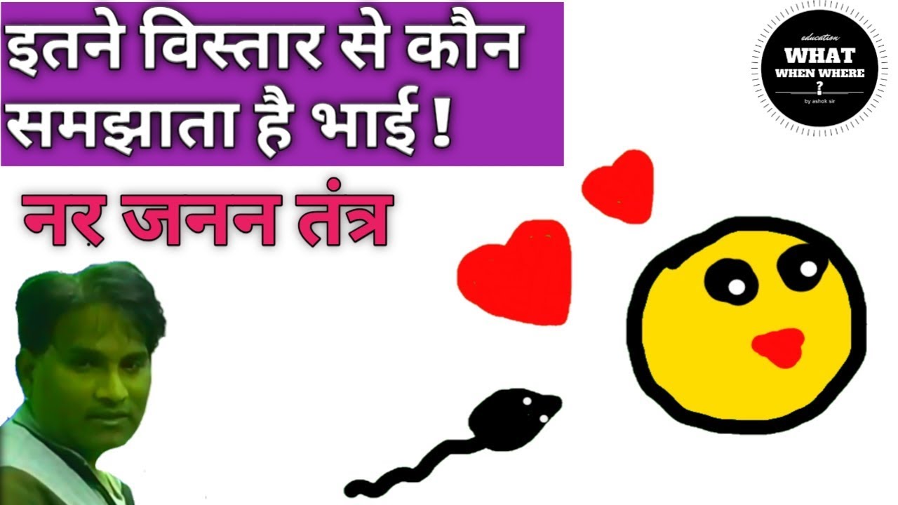 नर जनन तंत्र || Male reproductive system || Nar janan tantra ka chitra ...