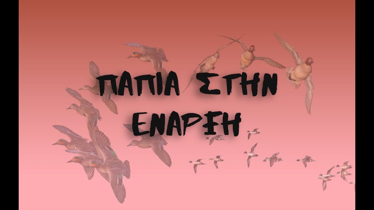 ΠΑΠΙΑ ΣΤΗΝ ΕΝΑΡΞΗ - YouTube
