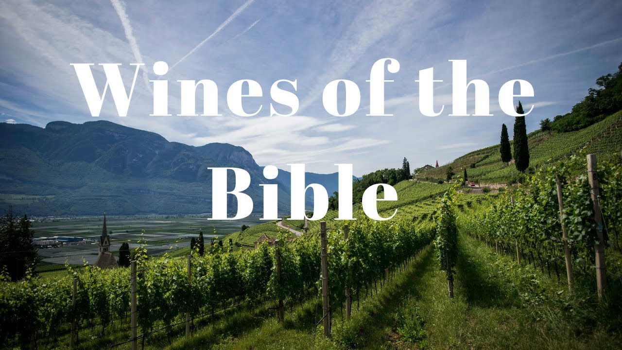 Exploring the Wines of the Bible Route - YouTube