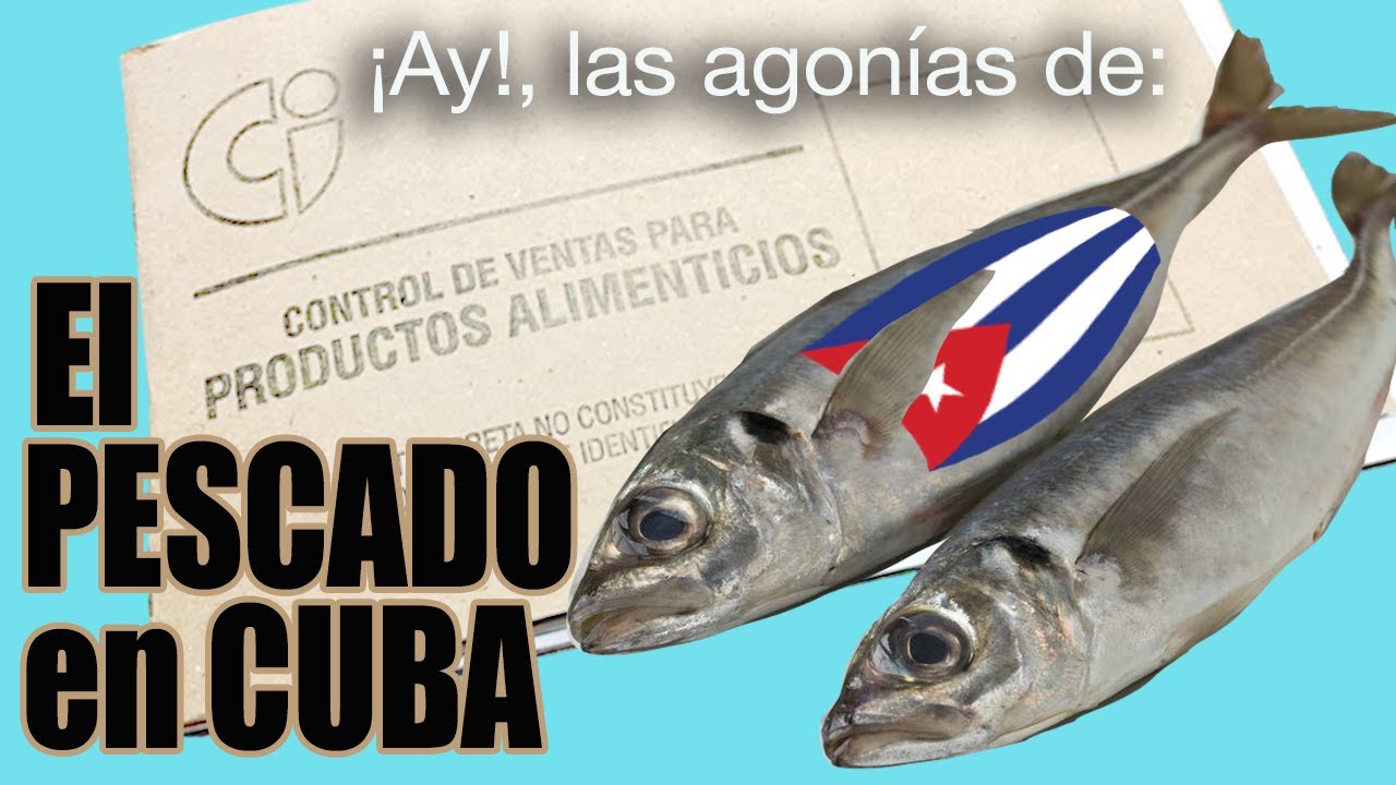 🐟 El Pescado en Cuba 🇨🇺 - YouTube