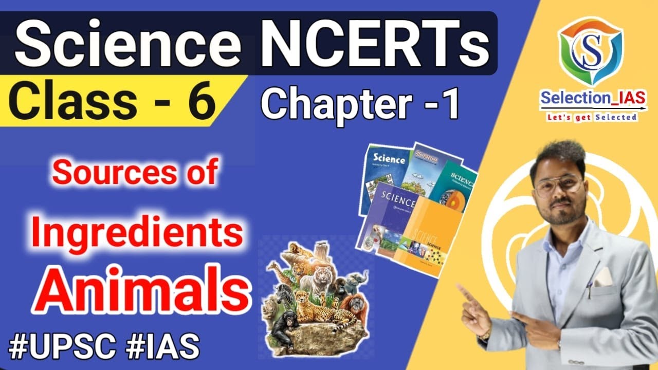 Sources of ingredients: Animals | Basic Science for UPSC | Animated ...