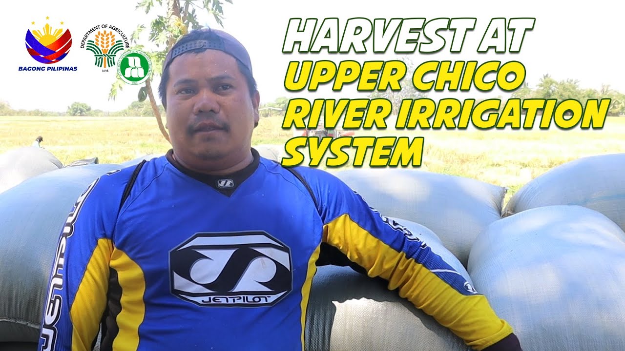 Harvest at Upper Chico River Irrigation System | Dexter Gabatino's ...