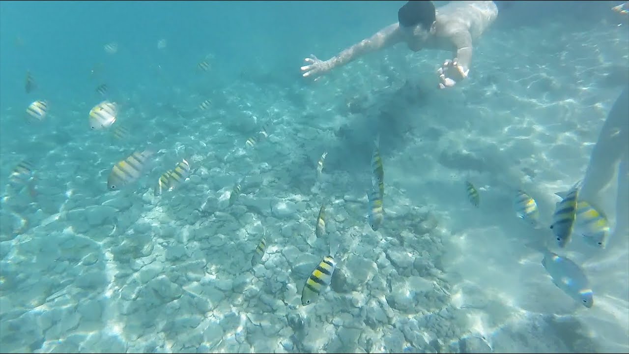 Swimming in Cuba - GoPro Session - YouTube
