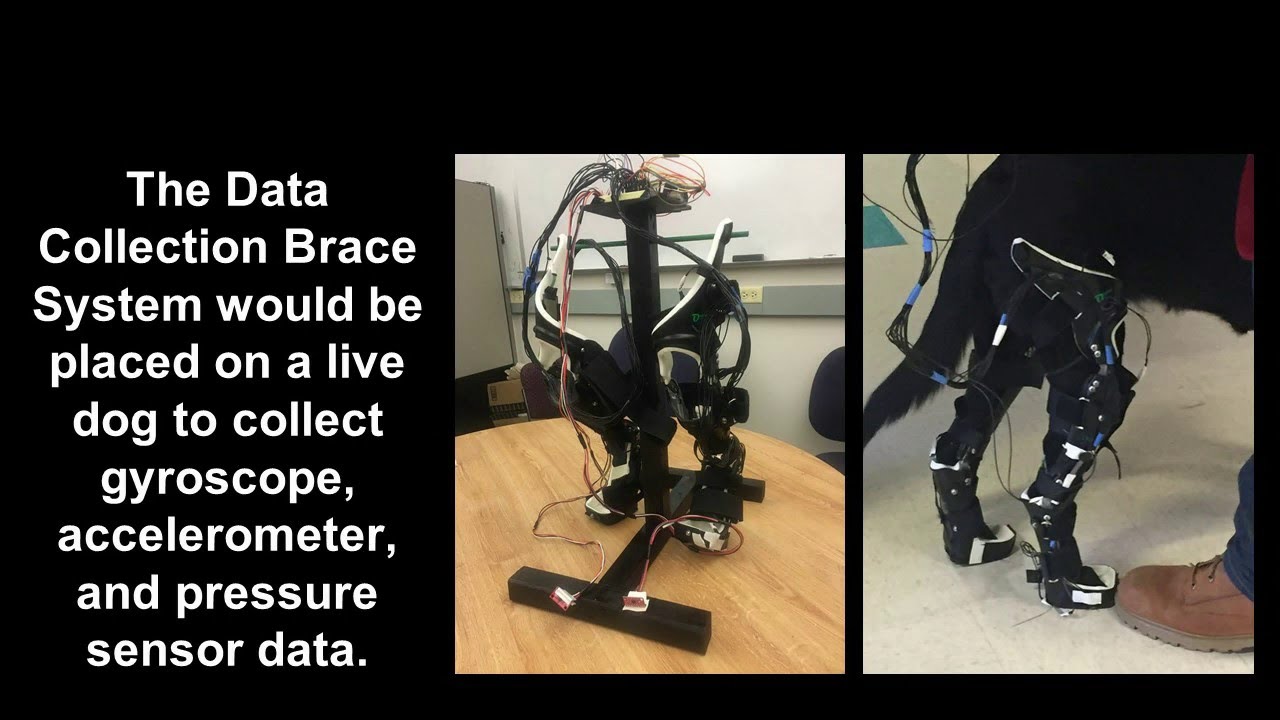 Canine Exoskeleton for Mobility and Rehabilitation - YouTube