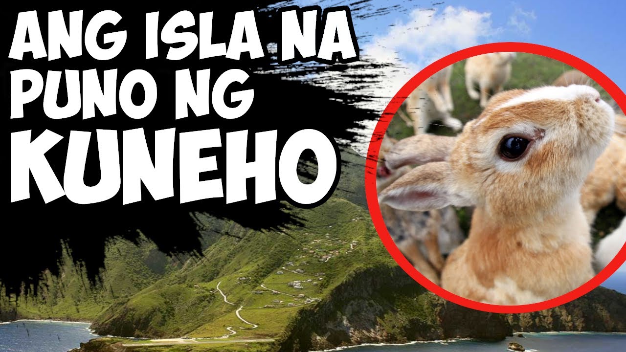 ANG ISLA NA PUNO NG KUNEHO - YouTube