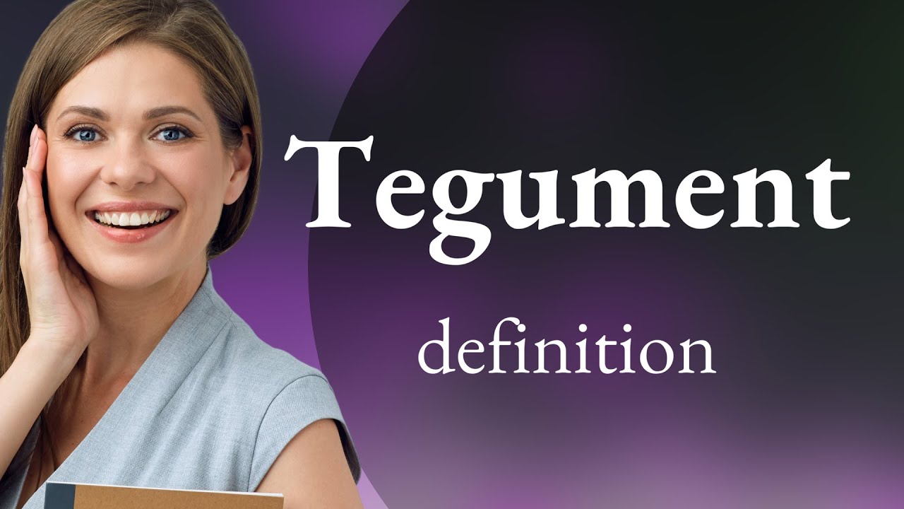Tegument | what is TEGUMENT definition - YouTube