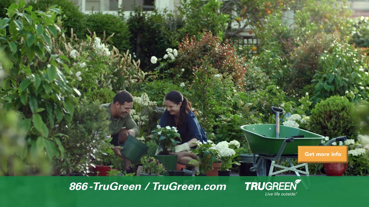 TruGreen Lawn Care Digital Spot A - YouTube