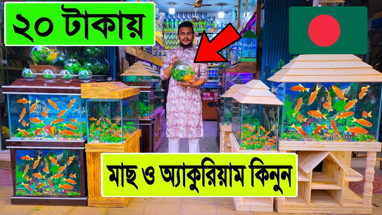 20 টাকায় 🔥মাছ ও অ্যাকুরিয়াম কিনুন | katabon fish market 2022 ...