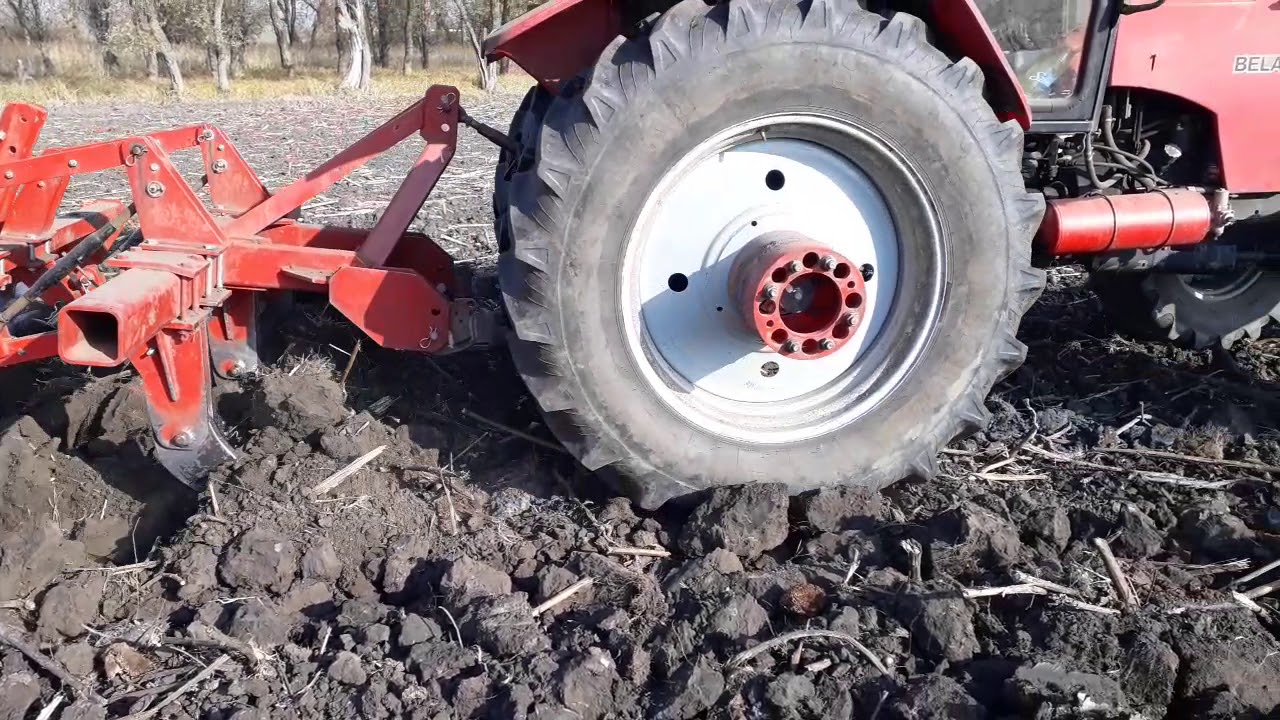 Belarus MTZ 1221.3 napraforgó tarló mélylazítózása 2018 11 11 11 12 ...