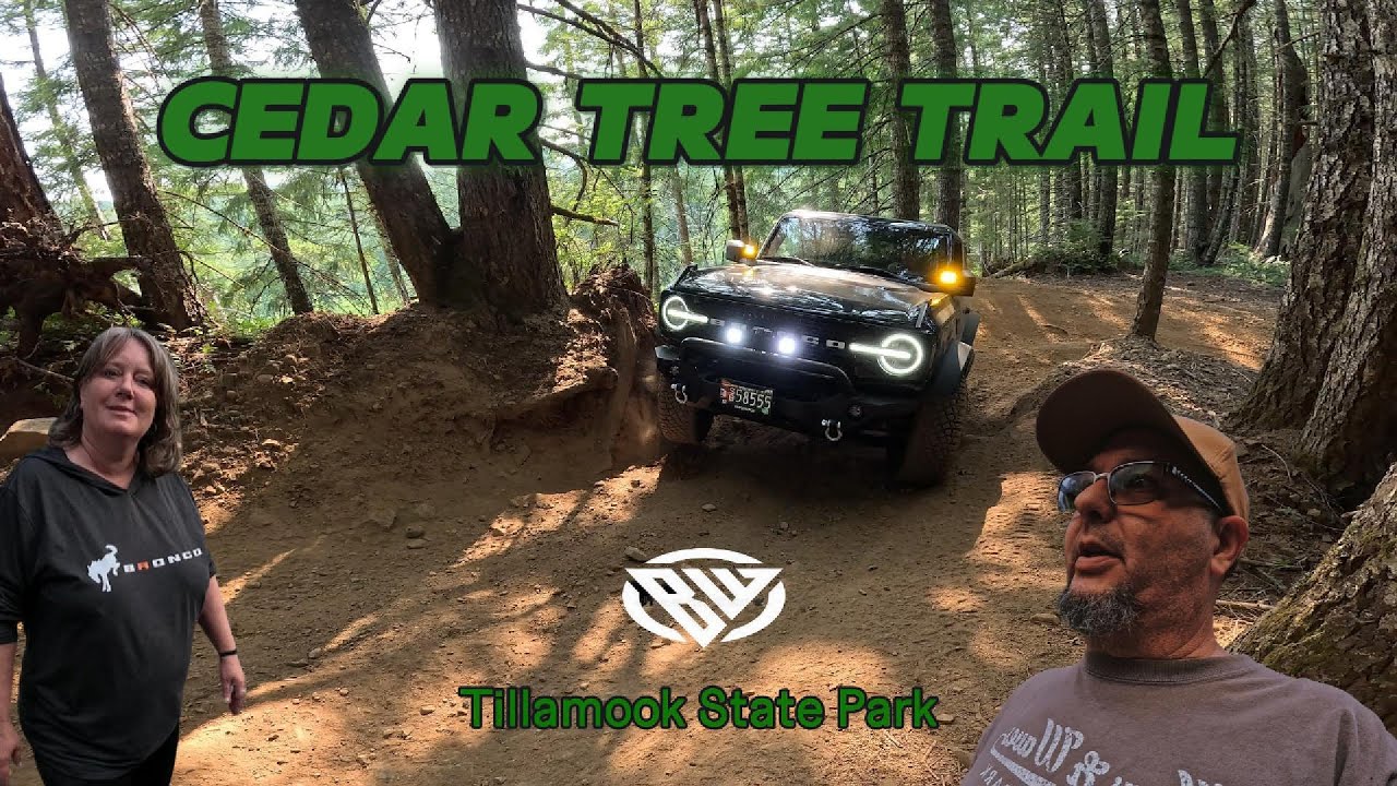 We head up to Cedar Tree Trail in the Tillamook State Forest - YouTube